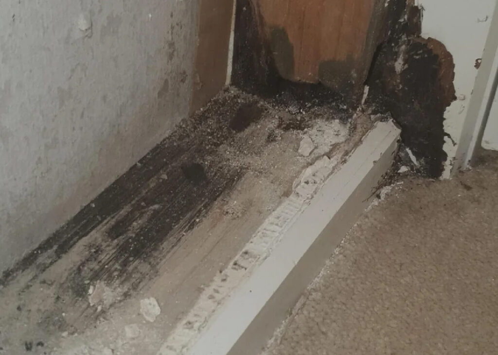 Top 7 Renovation Mistakes That Cause Waterproofing Failures - Chemind